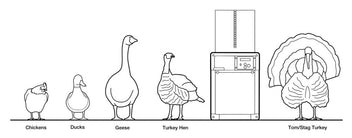 Automatic Chicken Coop Door Opener with Timer - Chicken Guard