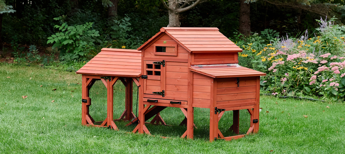Leghorn Cottage Chicken Coop for 4 Chickens with Run