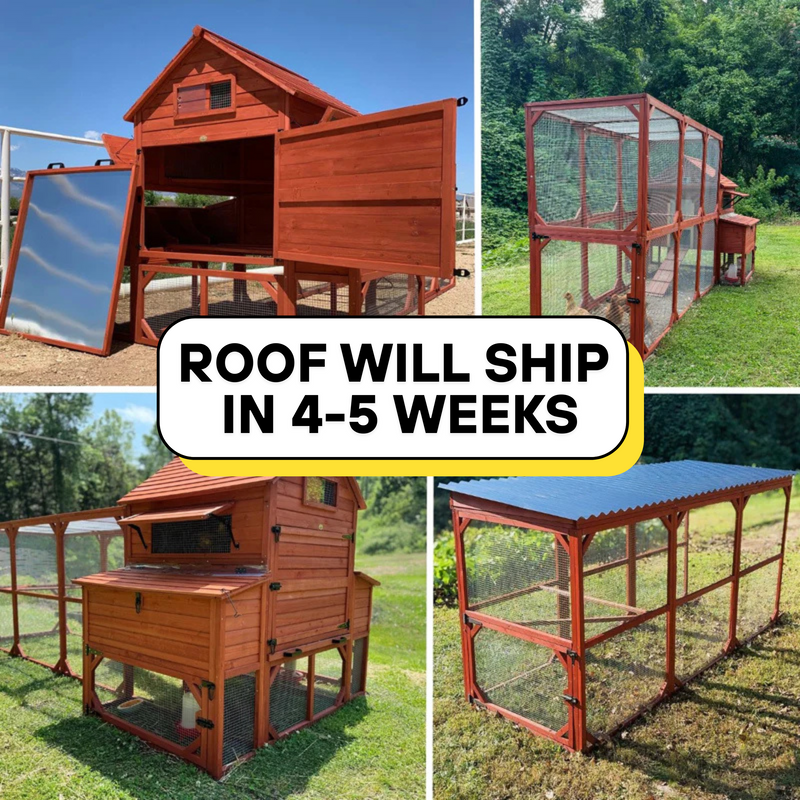 BUNDLE: Rhode Island Chicken Coop for 10+ Chickens + Run + Roof