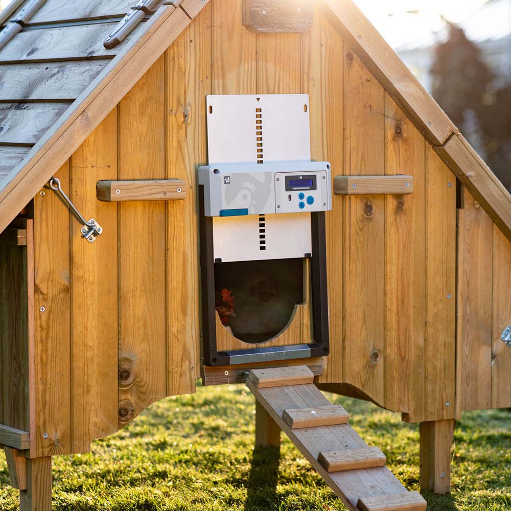 Automatic Chicken Coop Door Opener with Timer - Chicken Guard