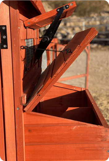 Chicken Coop Assembly Instruction Videos and Guide