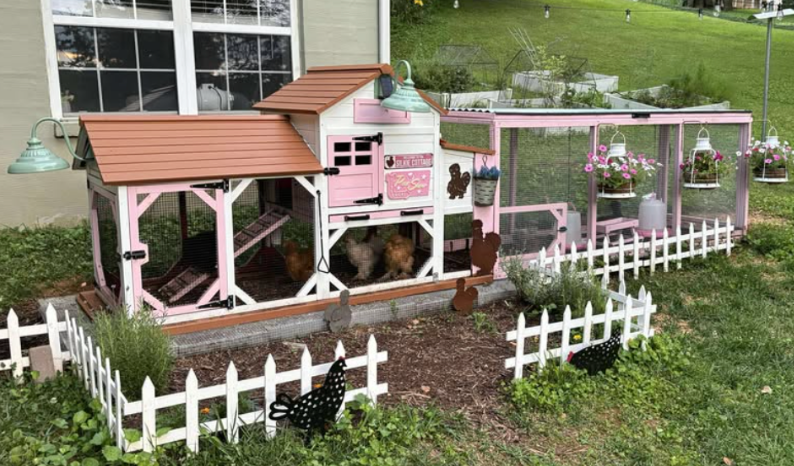 Brahma Coop: Premium Large Chicken Coop for 15-18 Birds